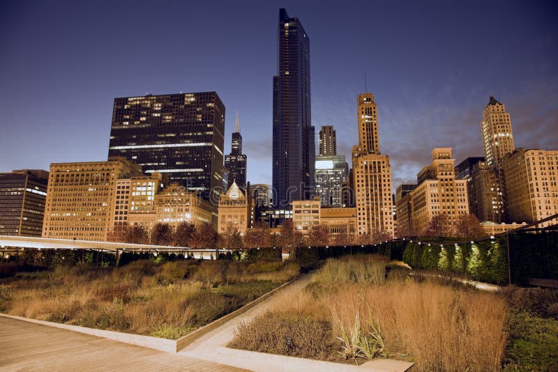 Prairie in Downtown Chicago Stock Photo - Image of city, architecture ...