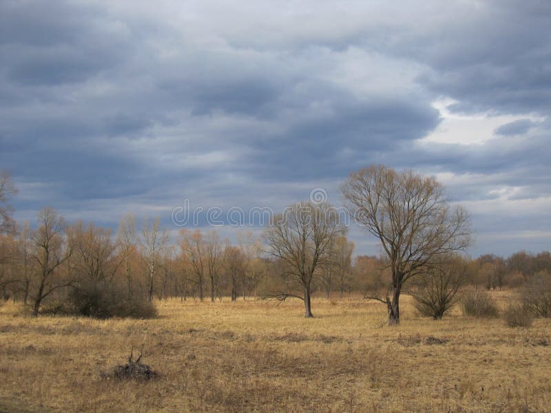 Prairie stock photo. Image of paysage, prairie, trees - 34143584
