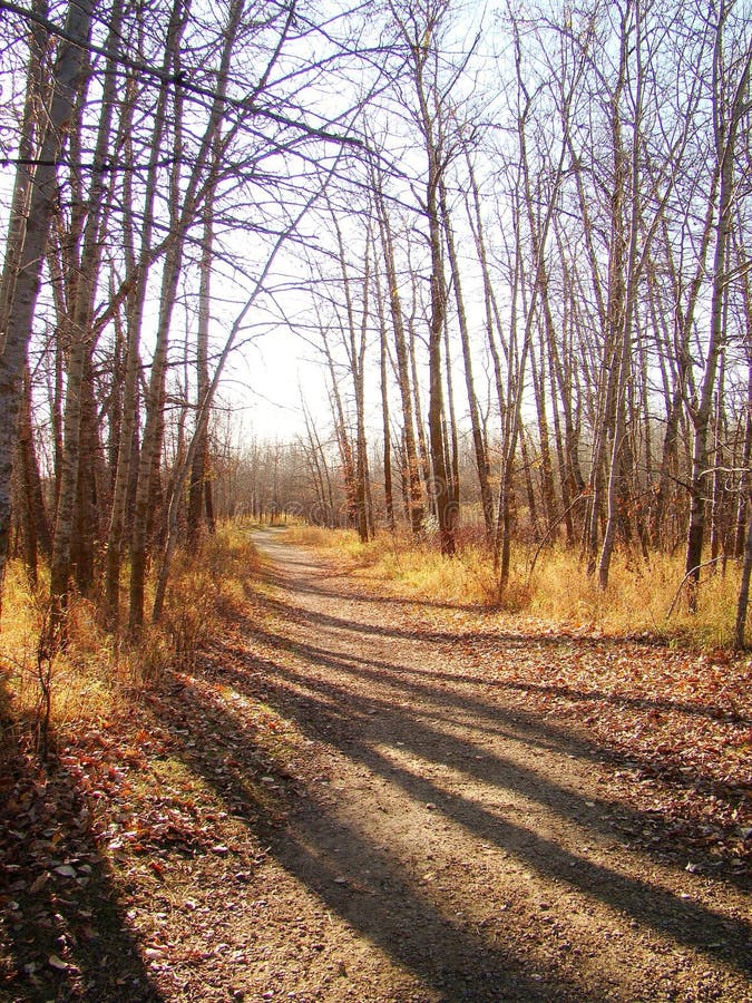 Prairie fall walk stock image. Image of forest, prairie - 53730149