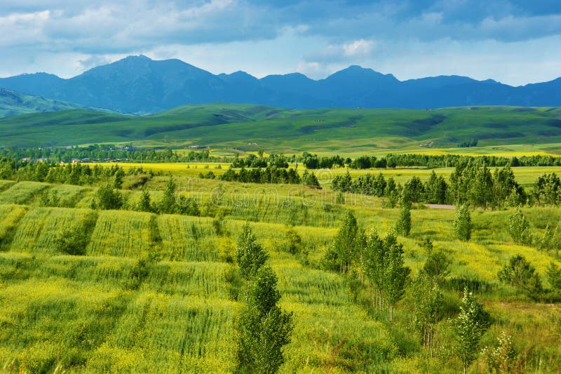 Prairie Farm stock image. Image of environment, houses - 12835051