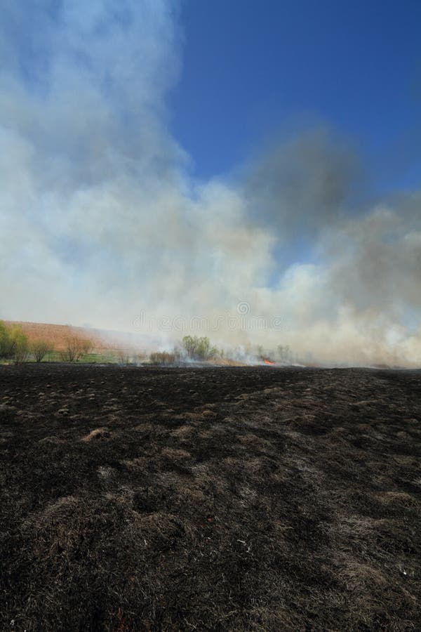 Prairie Fire stock photo. Image of grassland, cloud, green - 17299238
