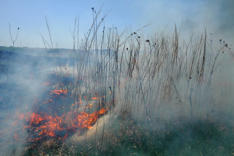 Prairie Fire stock image. Image of meadow, field, blaze - 17299265