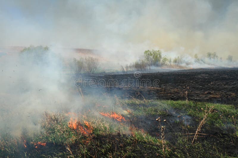 Prairie Fire stock photo. Image of crop, country, destruction - 20915706