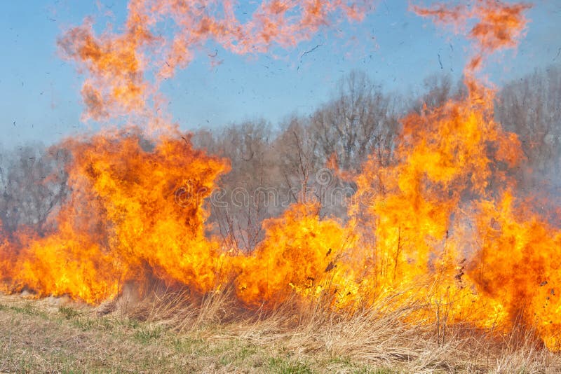 Prairie Fire stock image. Image of maintenance, smoke - 24211247
