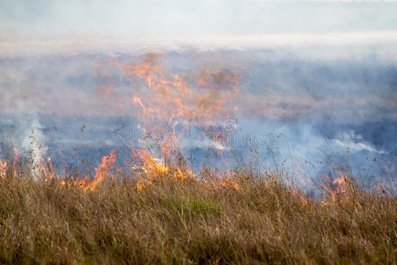 Prairie Fire stock photo. Image of field, nebraska, loss - 20915794