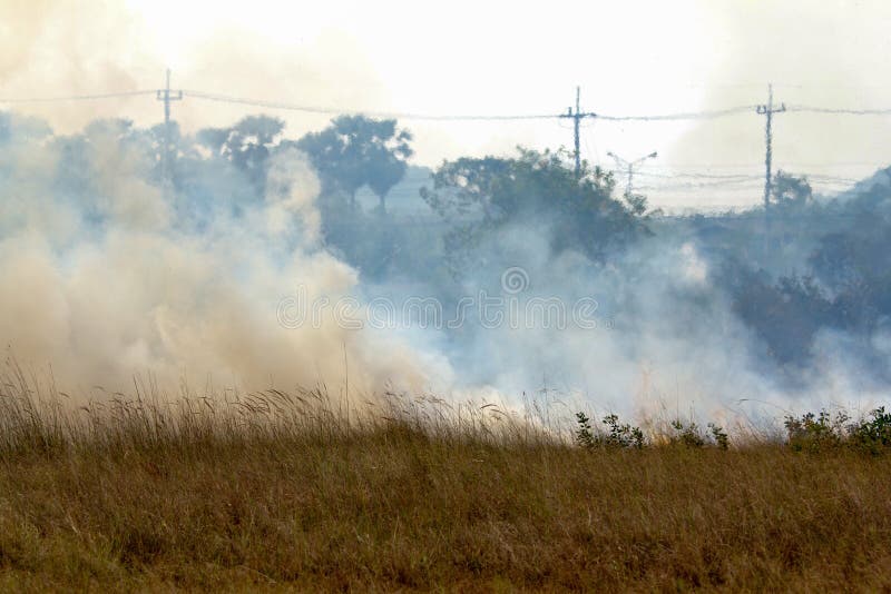 Prairie fire stock photo. Image of flame, prairie, summer - 1185042