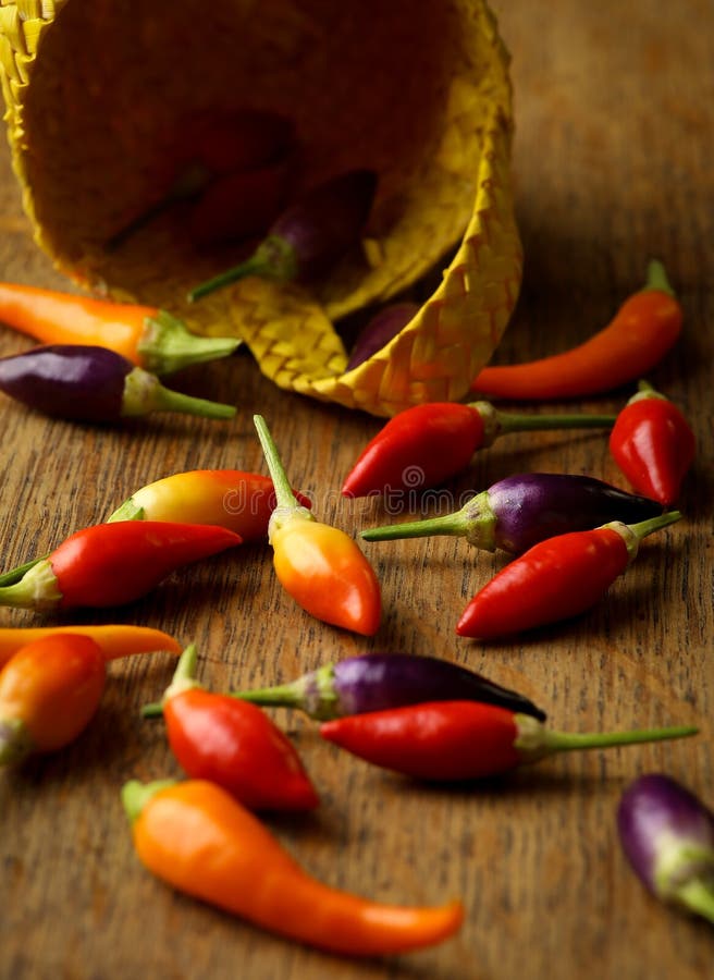 Prairie Fire Atomic Chilli, Heatwave Chilli Stock Image - Image of ...