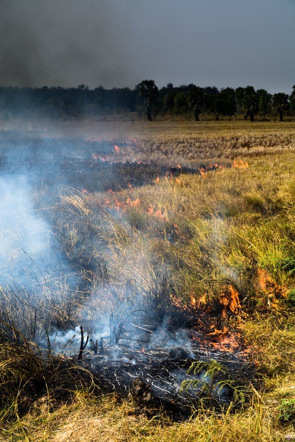 Prairie Fire stock image. Image of maintenance, smoke - 24211247