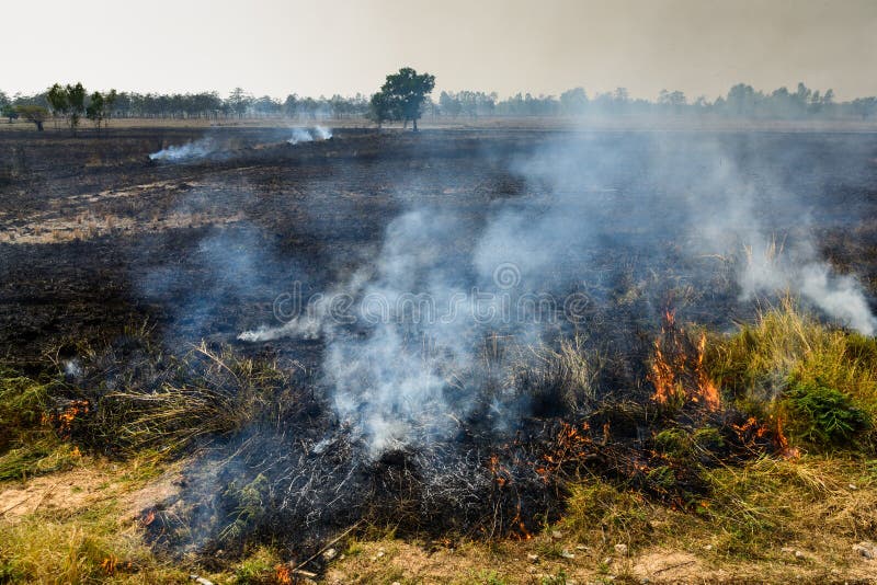 Prairie fire stock photo. Image of flame, prairie, summer - 1185042