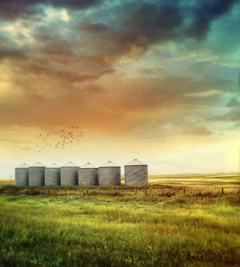 Prairie Grain Silos in Late Summer Stock Photo - Image of green, grass ...
