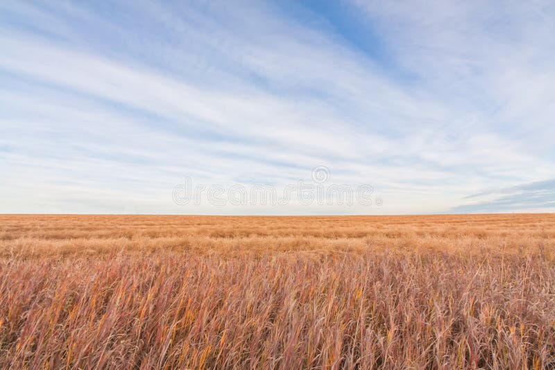 76,970 Prairie Grassland Landscape Stock Photos - Free & Royalty-Free ...