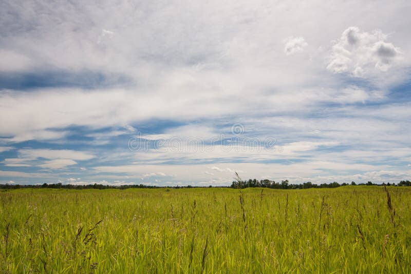 Prairie Grasslands stock image. Image of spring, dramatic - 26214319