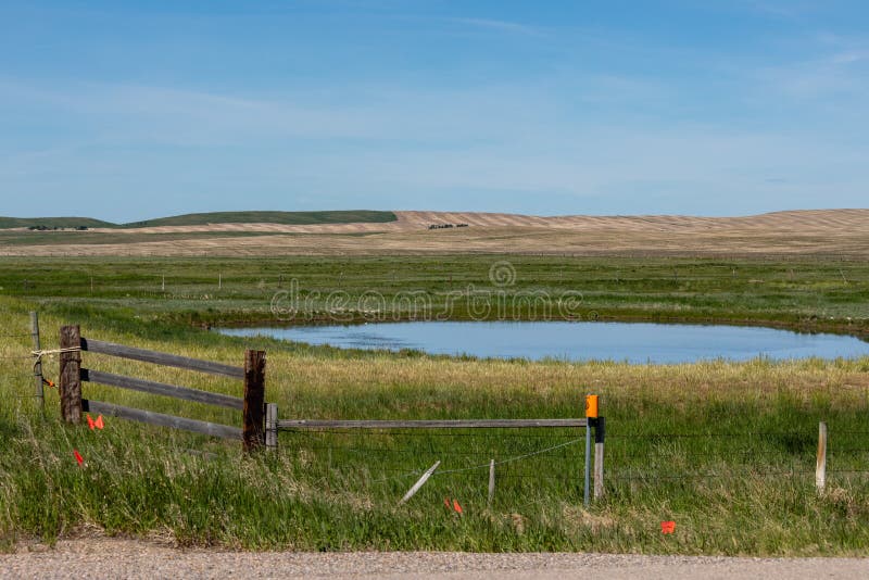 Prairie and Great Plains of Canada in Alberta Stock Photo - Image of ...