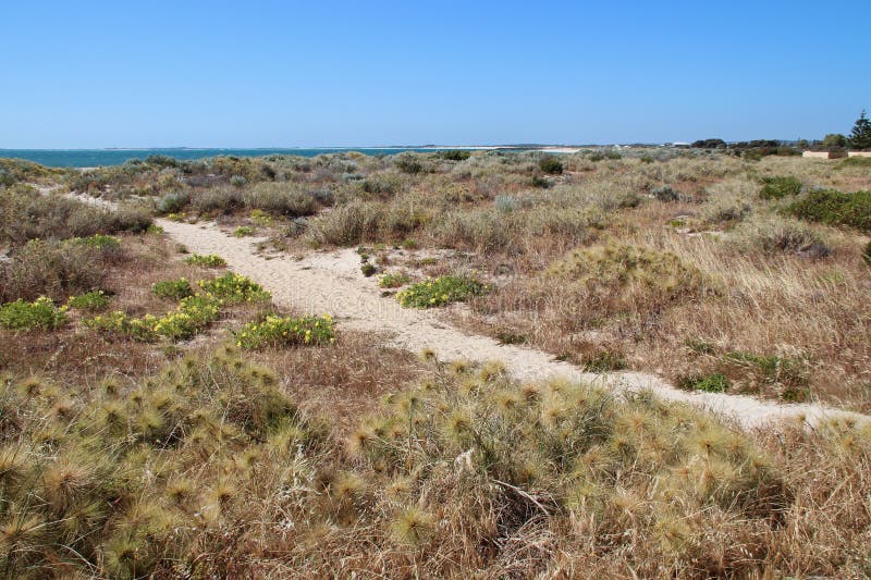 Prairie in Jurien Bay - Western Australia Stock Image - Image of ...