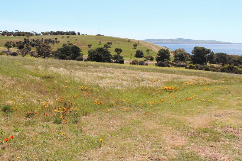Prairie - Kingscote - Kangaroo Island - Australia Stock Image - Image ...