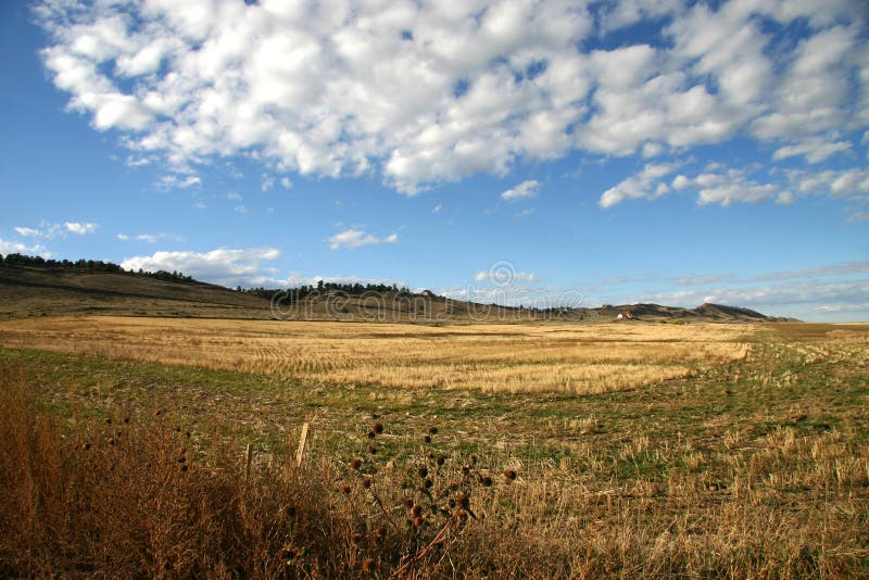 Prairie lands stock photo. Image of grassland, yellow - 1769718