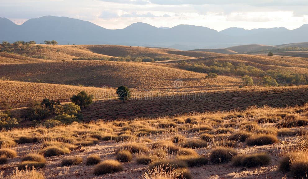Prairie landscape stock image. Image of prairie, gravel - 1666343