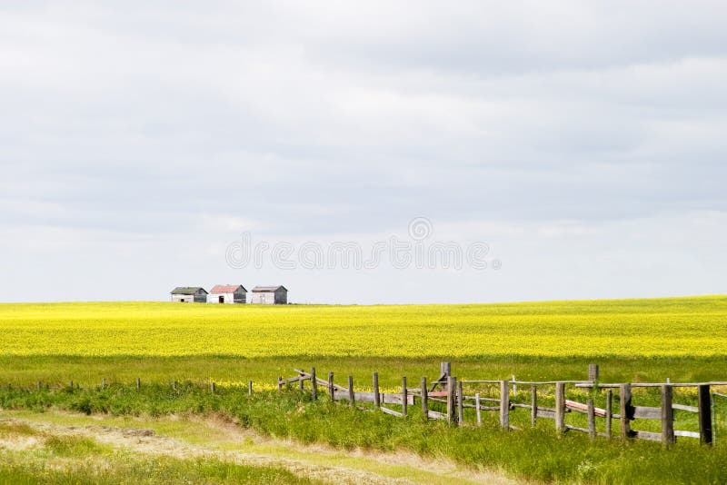 Prairie Landscape stock photo. Image of view, west, landscape - 348468