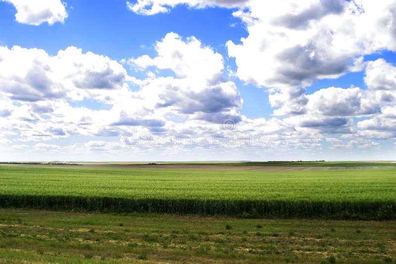 Prairie Landscape stock photo. Image of agriculture, weather - 6043236
