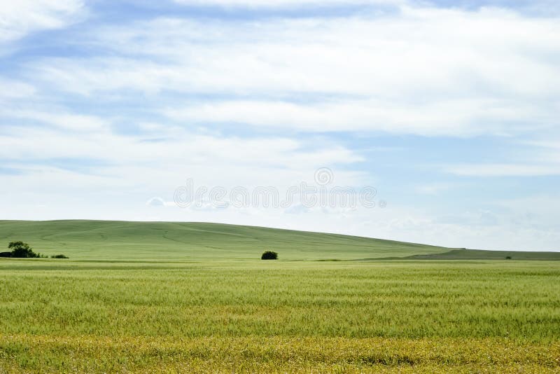 Prairie Landscape stock photo. Image of flat, beautiful - 457080