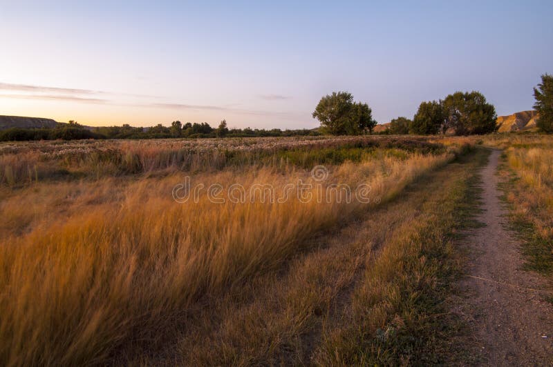 Prairie stock image. Image of field, wildflowers, colorful - 20995667
