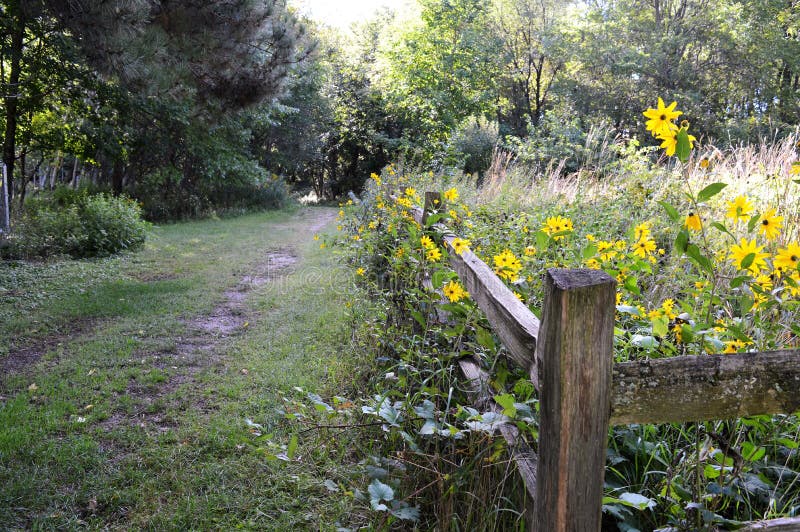 Prairie Restoration in Progress Sign Stock Image - Image of scenic ...