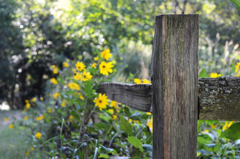 Prairie Restoration in Progress Sign Stock Image - Image of scenic ...