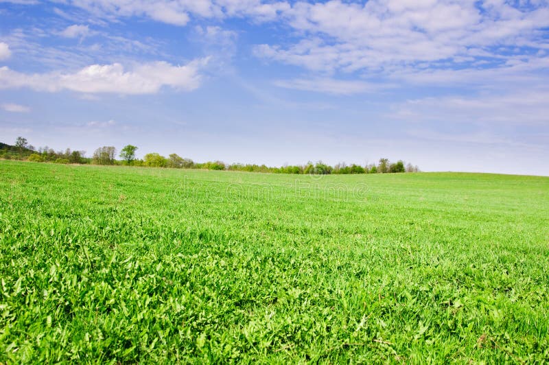 Prairie landscape and sky stock image. Image of grass - 19431313