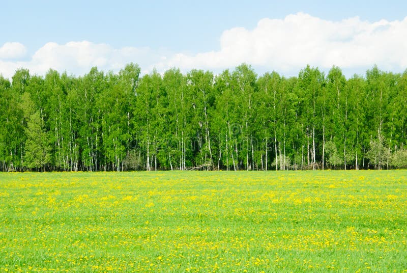 Prairie landscape and sky stock image. Image of grass - 19668651