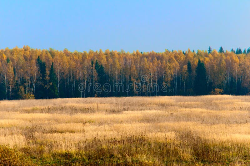 Prairie landscape and sky stock image. Image of lawn - 21508269
