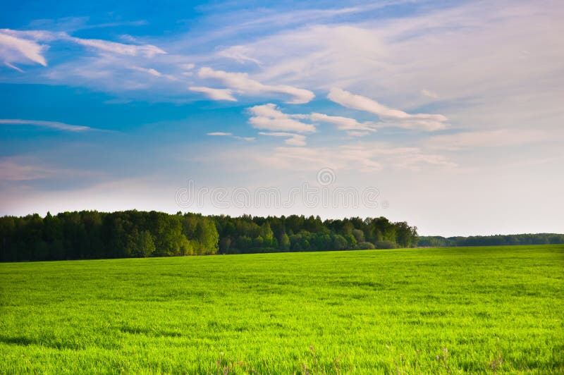 Prairie landscape and sky stock image. Image of idyllic - 24757907