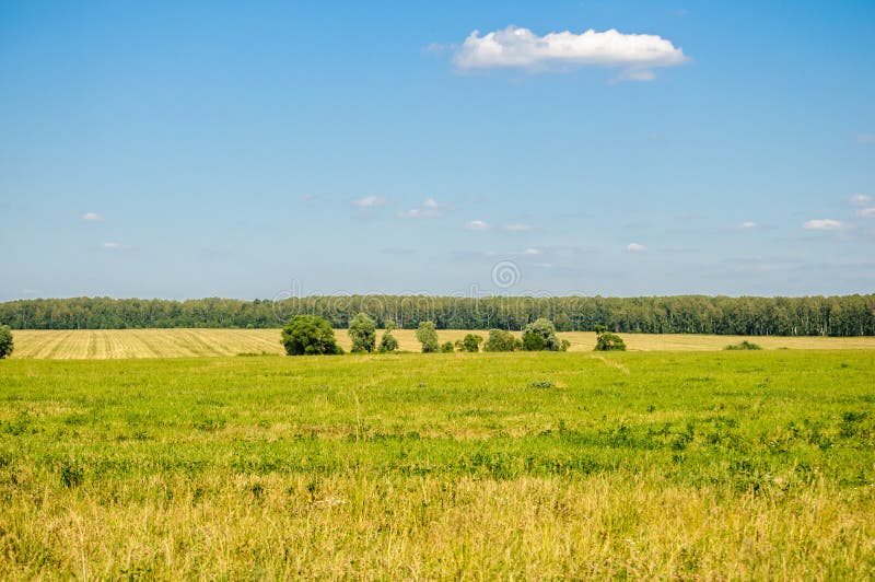 Prairie landscape and sky stock photo. Image of heavens - 25708218