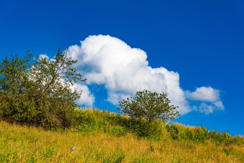 Prairie landscape and sky stock image. Image of lawn - 21508269