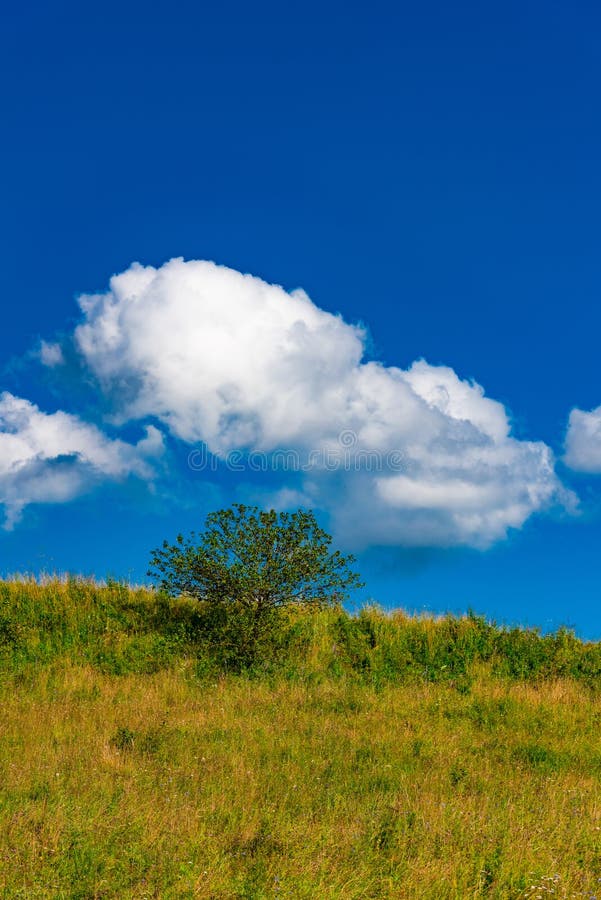 Prairie landscape and sky stock photo. Image of fresh - 29917790