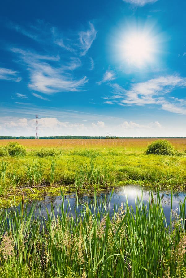 Prairie landscape and sky stock image. Image of horizon - 32619777