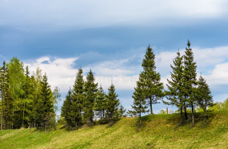 Prairie landscape and sky stock image. Image of fresh - 40934247