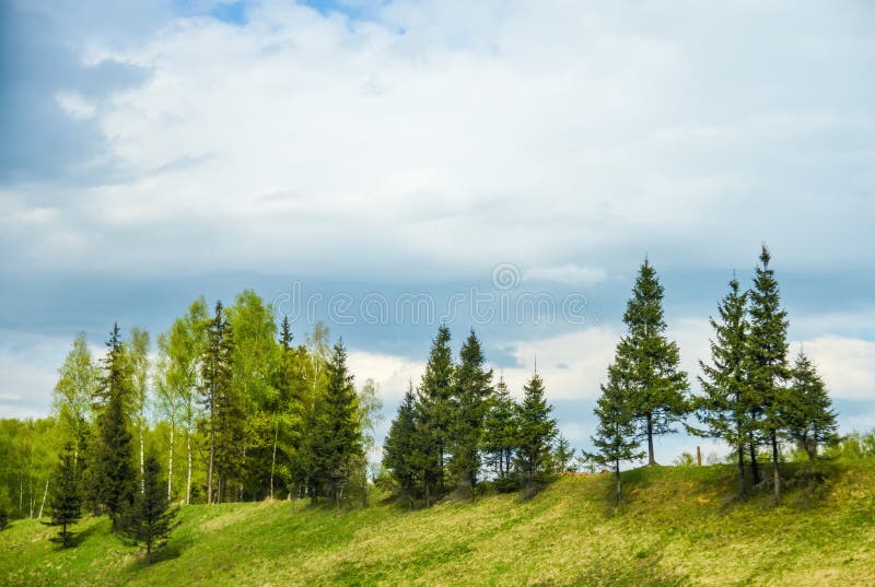Prairie landscape and sky stock photo. Image of grassland - 40934252