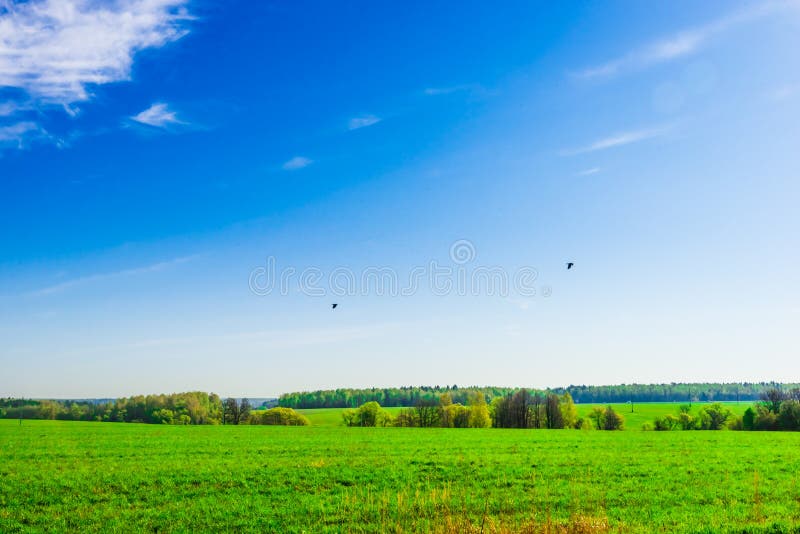 Prairie landscape and sky stock image. Image of idyllic - 54154877