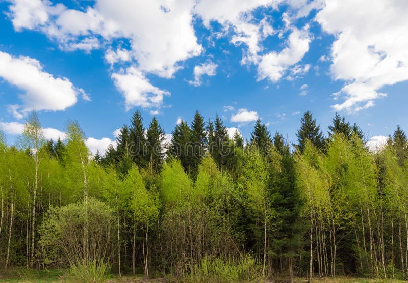 Prairie landscape and sky stock image. Image of heavens - 92596597
