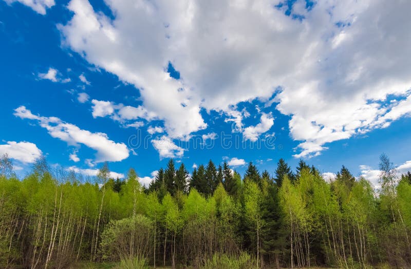 Prairie landscape and sky stock image. Image of grass - 92596661