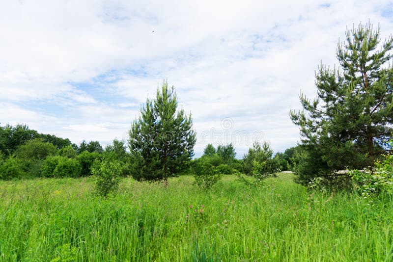 Prairie landscape and sky stock image. Image of lawn - 21508269