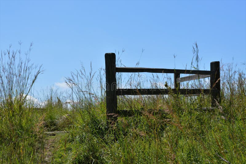 Prairie Landscape stock photo. Image of calm, landscape - 76030526
