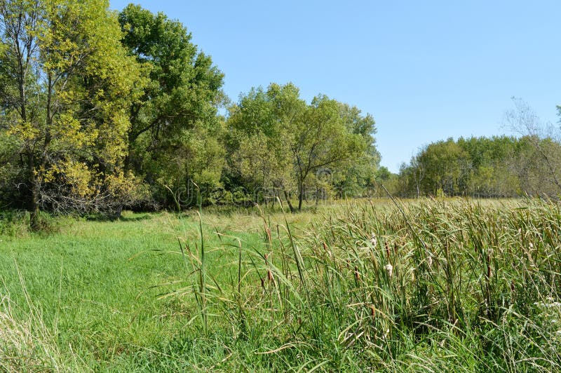 Prairie Landscape stock image. Image of calm, exploration - 77356175