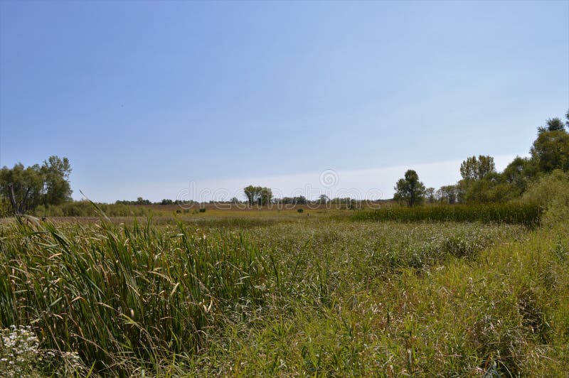 Prairie Landscape stock photo. Image of park, calm, nature - 77356176