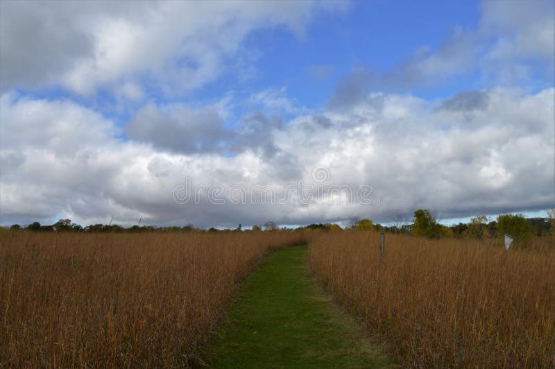 Prairie Landscape stock image. Image of prairie, destination - 80407647