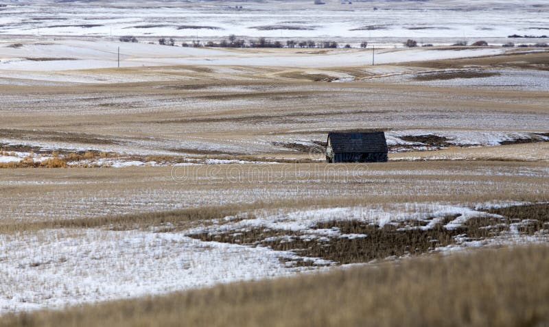 Prairie Landscape in Winter Stock Photo - Image of winter, season: 53057688