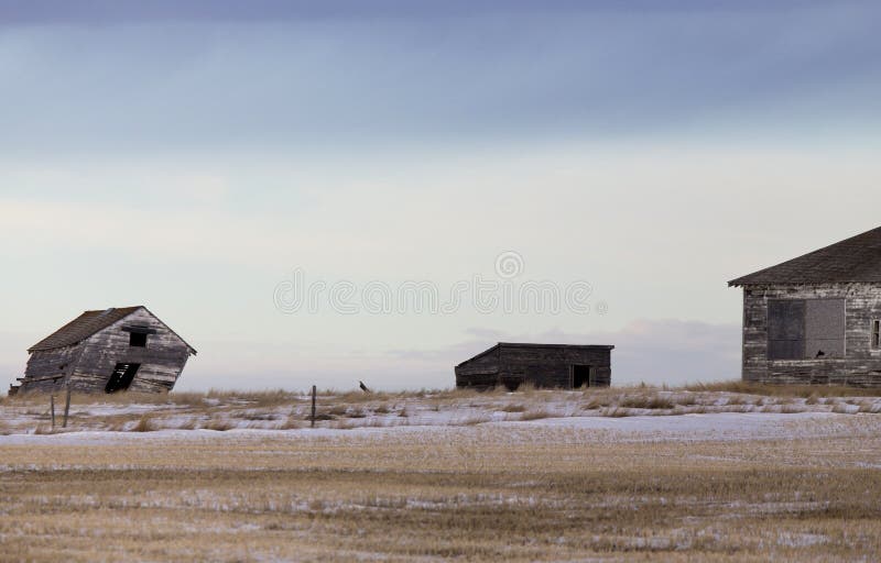 Prairie Landscape in Winter Stock Image - Image of cold, winter: 53057701
