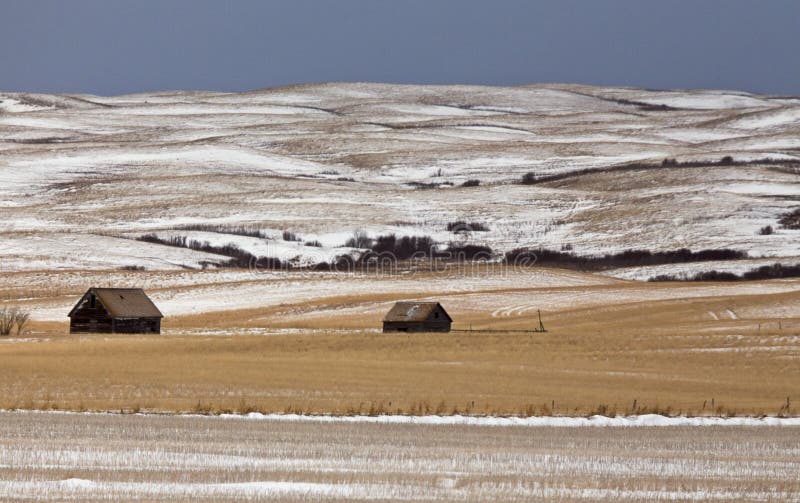Prairie Landscape in Winter Stock Photo - Image of landscape, prairie ...