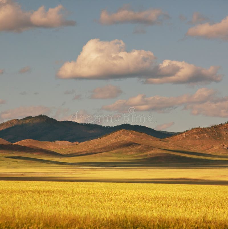 Prairie stock image. Image of american, scenery, beautiful - 54184469