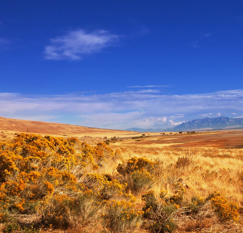 Prairie stock image. Image of country, prairie, mesa - 54184639